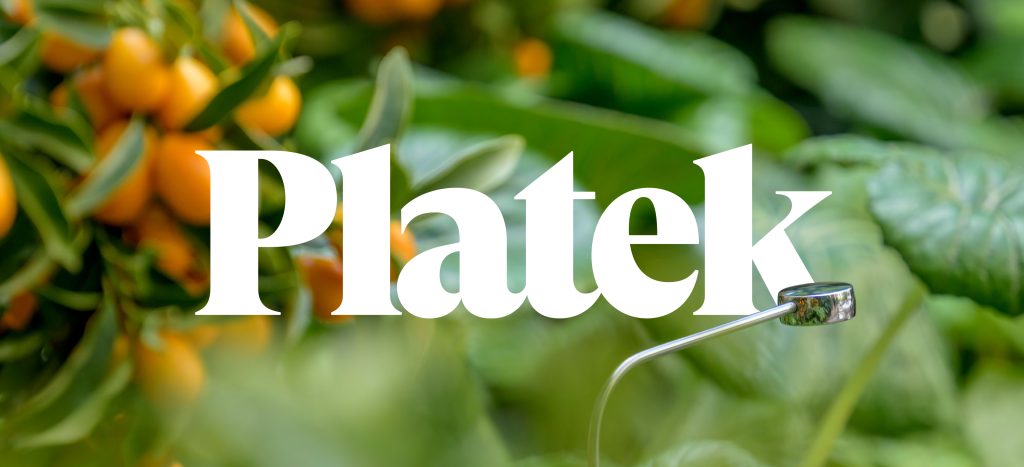 Platek - Pitis Associati